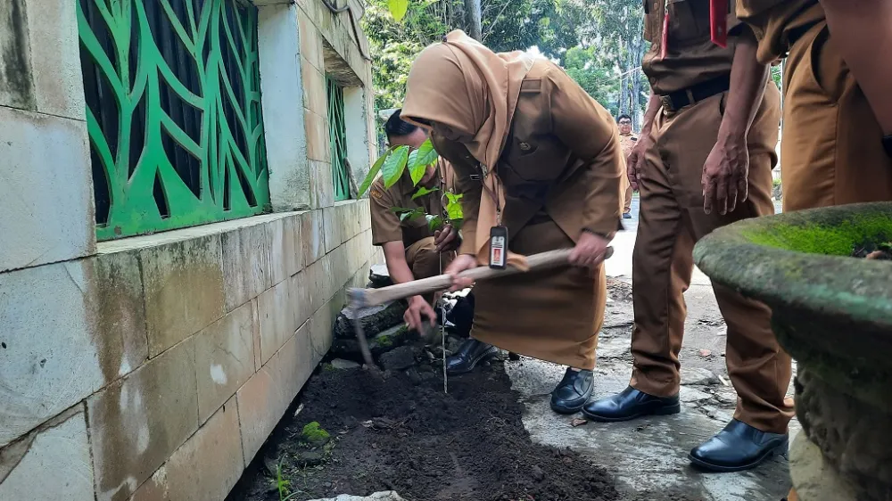 Menanam Langsep di Jalan Langsep Jadi Simbol Cinta Bumi dari Lumajang
